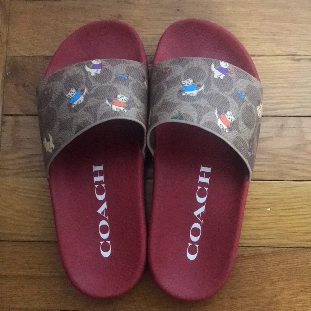 Coach Udele Printed Signature Slide - Gem